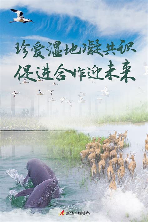珍爱湿地凝共识 促进合作迎未来——写在《湿地公约》第十四届缔约方大会举办之际 新闻频道 和讯网