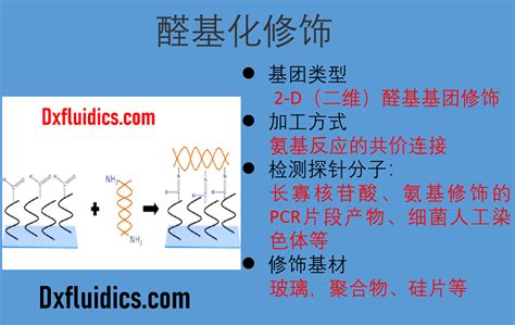 醛基化修饰 表面改性 表面修饰 微流控芯片 生物芯片 顶旭微控