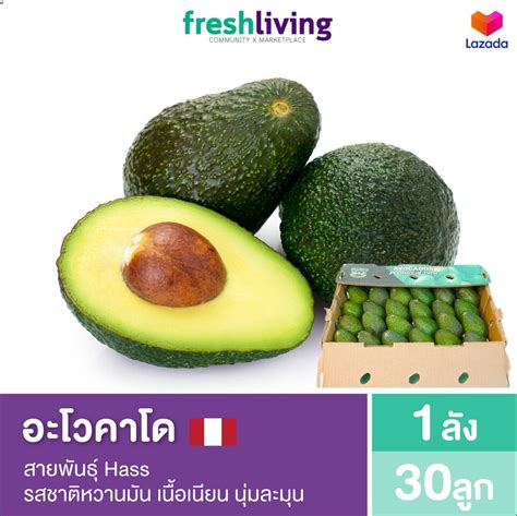 อะโวคาโด้ สายพันธุ์ Peru ผลไม้สด Freshliving Freshliving Thaipick