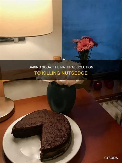 Baking Soda The Natural Solution To Killing Nutsedge Cysoda