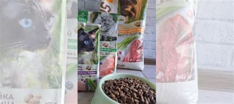 Корм для кошек премиум класса Сириус купить в Севастополе | Животные и ...