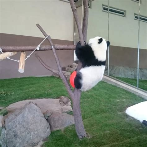 さくら Yuuk11125 • Threads Say More