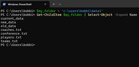 PowerShell Use Select Object To Only Get Property Value Collecting Wisdom