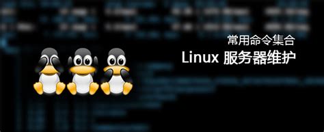 某某人的记事本