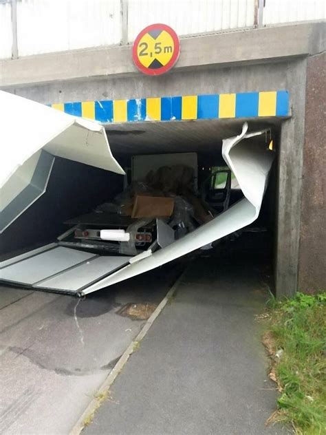 Roumenův Rouming Zábavné A Zajímavé Obrázky He Probably Cant Read