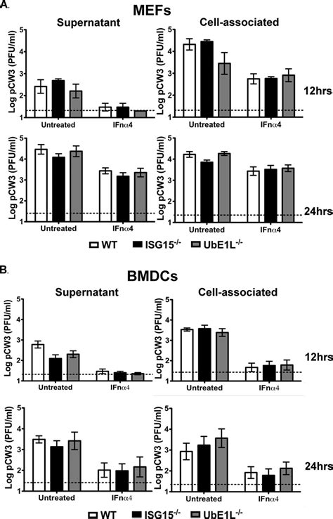 Isg15 Conjugation Dependent Effects On Mnv 1 Replication Are Lost In