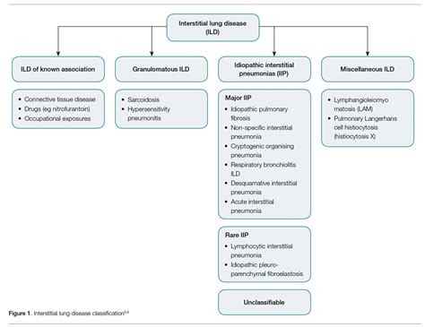 Interstitial Lung Disease Amboss Rotation Prep