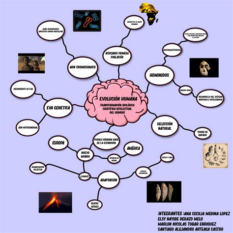 Mapa Mental Sobre Evolucion Esquemas Y Mapas Conceptu