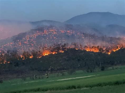 La Jornada Aumenta En 5 Mil Hectáreas La Superficie Afectada Por 17