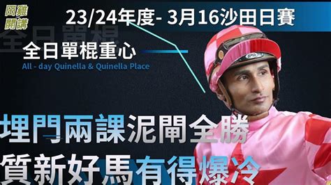 賽馬貼士 3月16日 沙田日馬賽事hkjc 全日單棍重心 埋門兩課泥閘全勝 質新好馬有得爆冷 Youtube