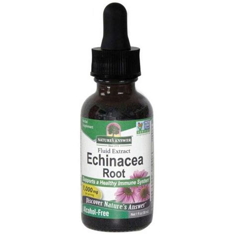 Echinacea Root 30ml Alternative Natural Health Products