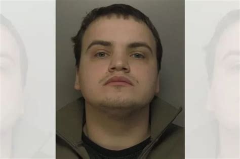 Man Jailed After Police Raid Uncovers Cannabis Factory Hull Live