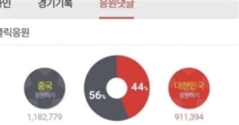 카카오 “축구 한중전 응원에 2개 Ip가 매크로수사 의뢰”