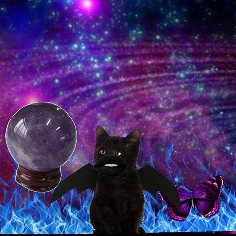 Alivia Johnson Youtube