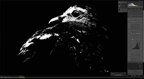 Your Lightroom Classic Tips And Tricks Canon Rf Shooters Forums