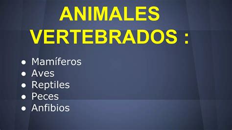 Animales vertebrados javier y josé PPT Descarga Gratuita
