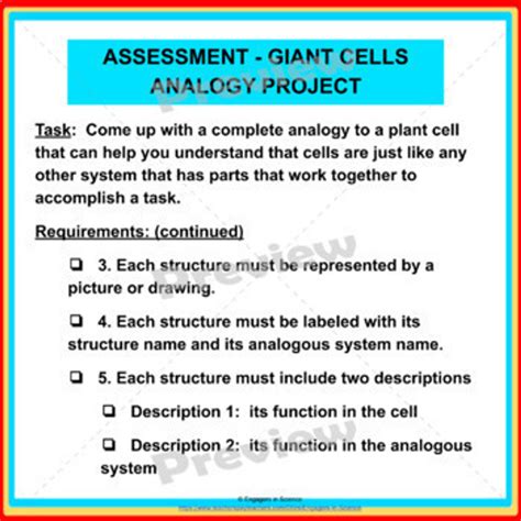 Plant Cell City Analogy Project