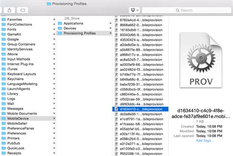 Xcode Ios Enterprise Build Cannot Use Wild Card Stack Overflow