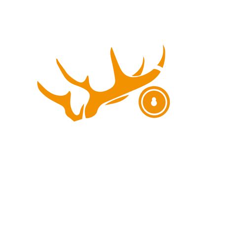 Packing Peanuts 60l Premium Moving הובלות אייל