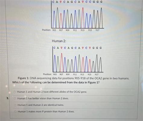 Solved The Oca2 Gene Encodes The Protein A Transmembrane