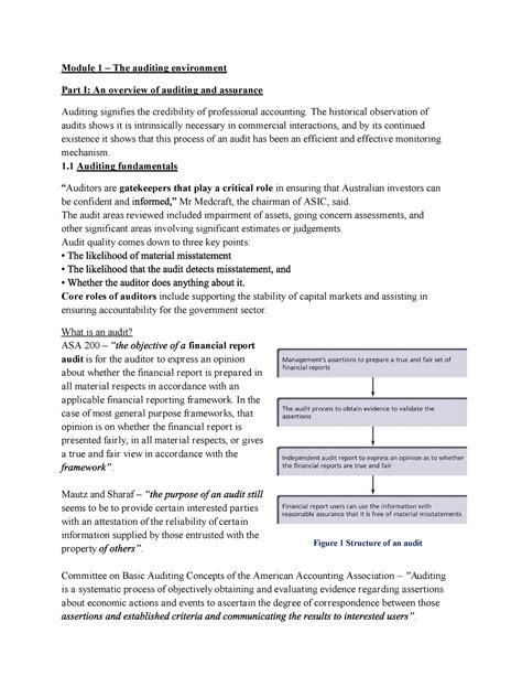 Lecture Notes Lectures 1 6 Module 1 The Auditing Environment Part I