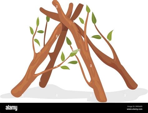 Tree Branch Timber Stack Dry Wood Stick For Campfire Isolated On White