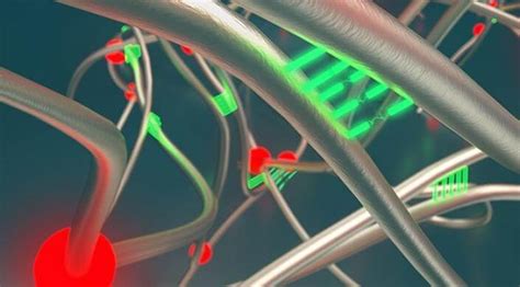 Harvard Researchers Develop Tough Self Healing Rubber