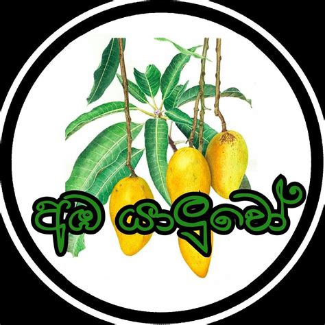 අඹ යාලුවෝ