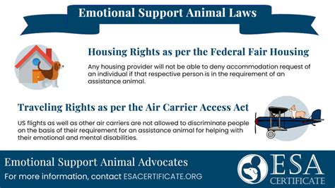 Review Of Emotional Support Animal Laws Indiana Ideas