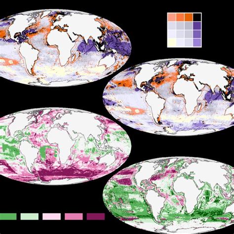 comparison of mean impacts on species and functional entities from