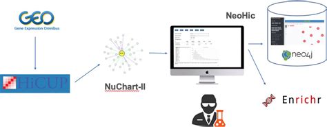 data analysis workflow this is the flowchart of the hi c data analysis