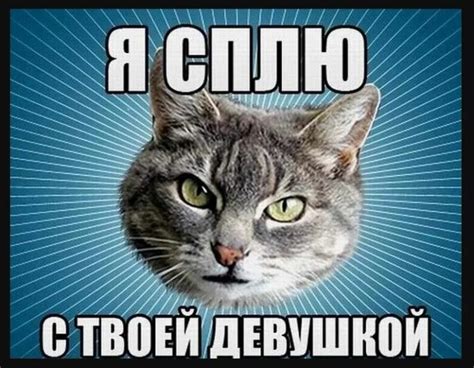 200 лучших мемов с котами 2023