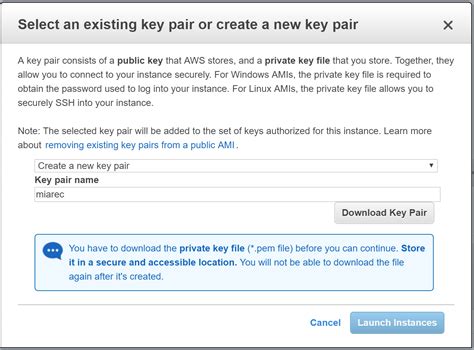 3 Create EC2 Instances MiaRec Documentation