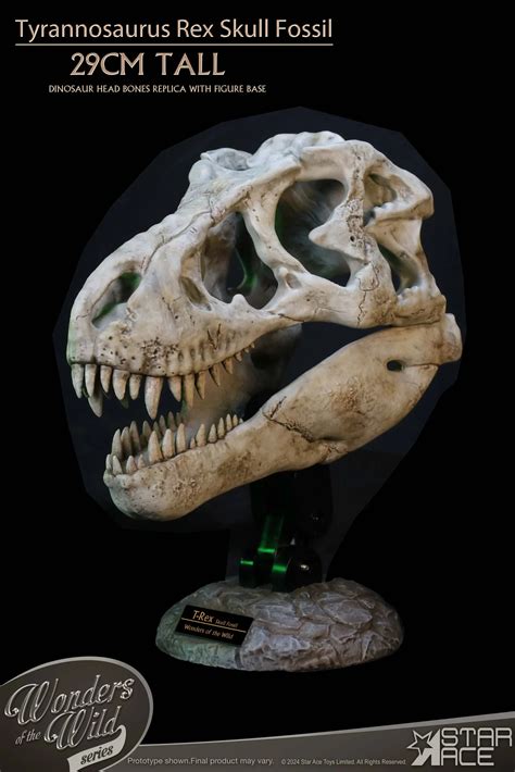 Sa5043 Star Ace Wonders Of The Wild Series Tyrannosaurus Rex Skull Fossil Toysfanatic