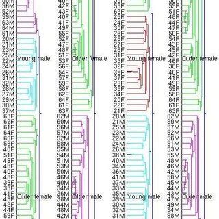 Dendrogram Of The Age And Gender Groups Download Scientific Diagram