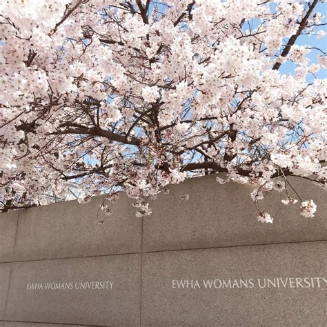 Linkedin Jayoon Lee 페이지 Sage는 해외 유학을 희망하는 이화인들의 교류와 협력을 위해 2019년에 자발적으로 개설된 카페 커뮤니티 입니다 현재 카페를 통해…