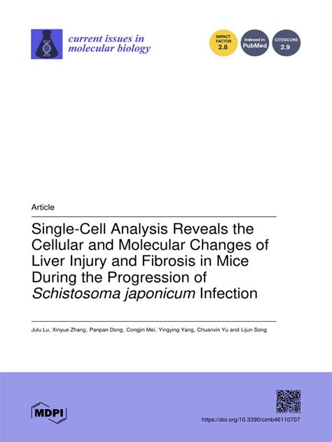 Liver Parasite Info 1 Pdf Macrophage T Helper Cell