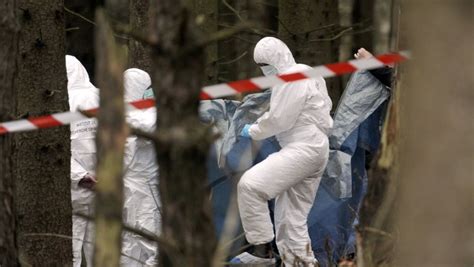 Meurtre d Agnès récidiviste le suspect est accusé de viol et d