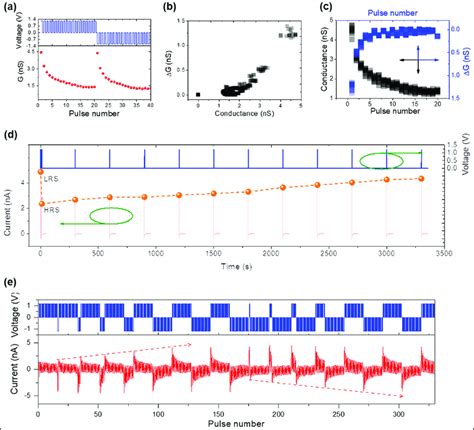 Synaptic Plasticity Performances A Switching Behaviors Under A