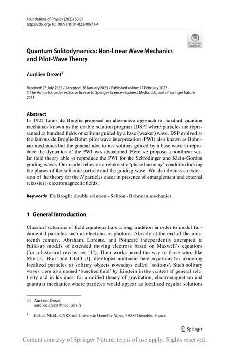 Quantum Solitodynamics Non Linear Wave Mechanics And Pilot Wave Theory
