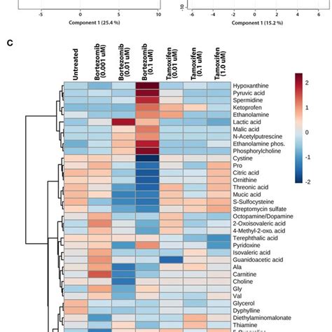 Brain Microphysiological System Mps Neural Progenitor Cells Npcs Download Scientific