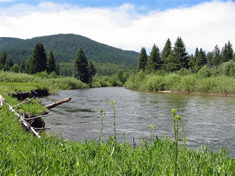 Yaak River Photographs Photos Of The Yaak River And Yaak Falls In Montana