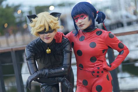 Miraculous ~lady Bug And Cat Noir~ By Dejikodaioh On Deviantart