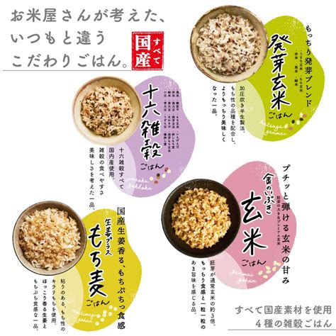 【楽天市場】【line新規登録で150円offクーポン】ご飯パック 金のいぶき玄米ごはん 宮城県産 48個セット 160g おくさま印 お米