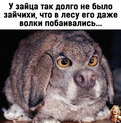 Это был тяжёлый год выпуск №740294