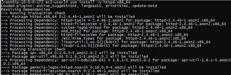 Deploy An Apache Server On Publicprivate Subnets On Aws