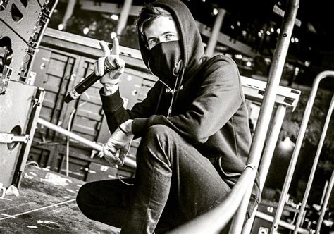 Pin De Valkyrie Em Alan Walker
