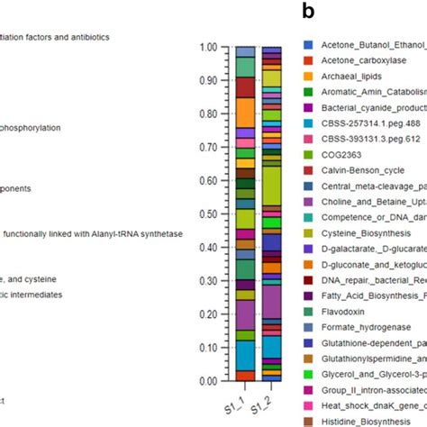 Functional Annotation Of Sohna Microbiome Based On Seed Subsystem Download Scientific Diagram