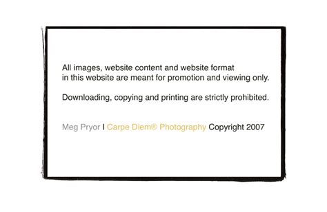 Meg Pryor Photography