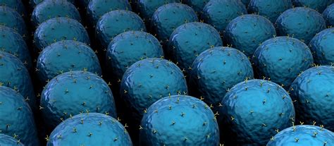 Multiplex Immunodetection Future Lab Biocompare